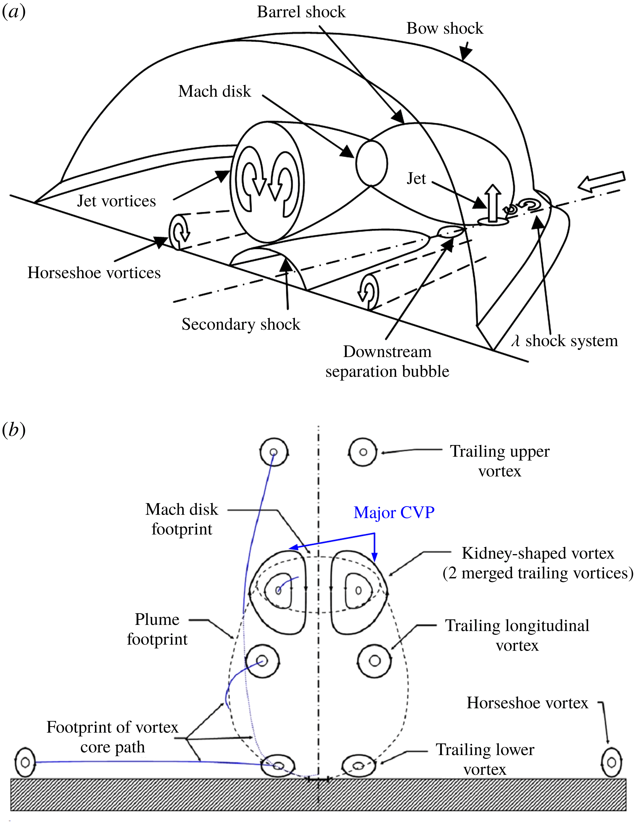 Formation of surface trailing counter-rotating vortex pairs downstream ...