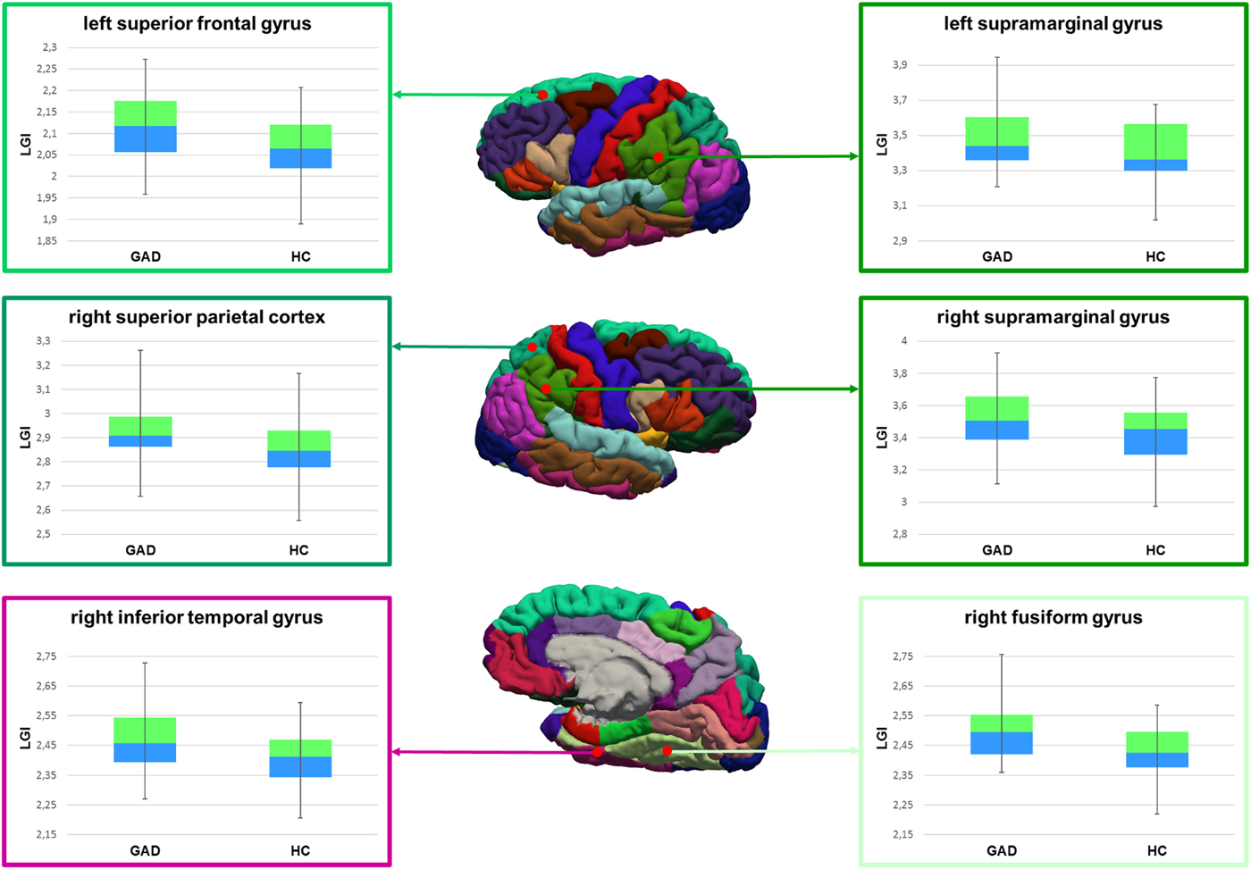 Reduced cortical thickness and increased gyrification in generalized ...