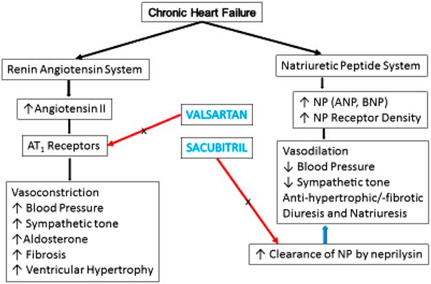 Sacubitril/Valsartan: potential treatment for paediatric heart failure ...