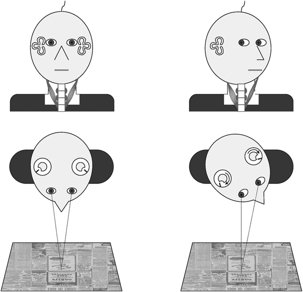 Essential anatomy and functions of the balance system (Chapter 1 ...