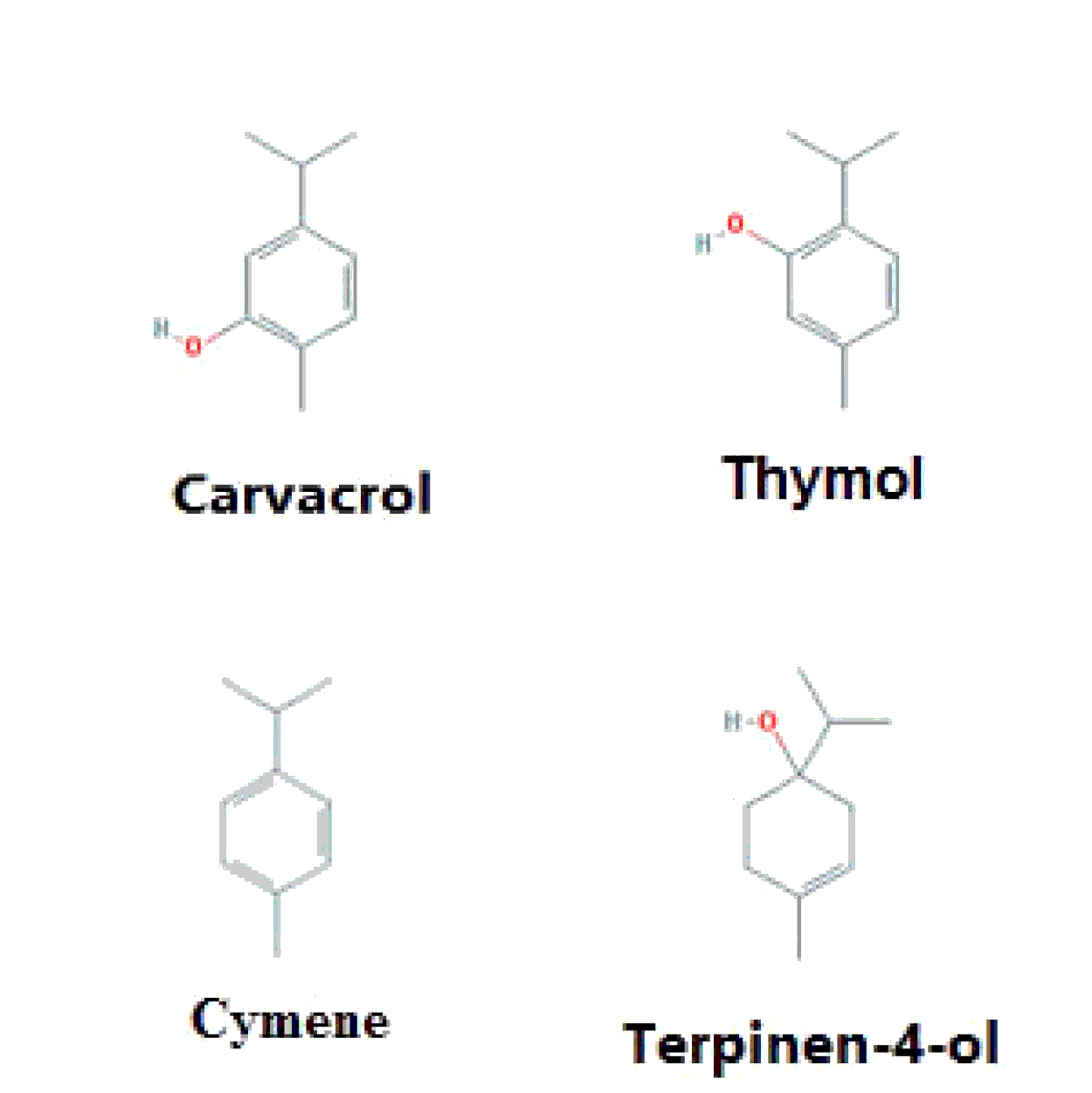 The usefulness of oregano and its derivatives in poultry nutrition ...