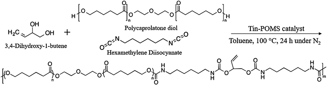 A latent crosslinkable PCL-based polyurethane: Synthesis, shape memory, and enzymatic ...