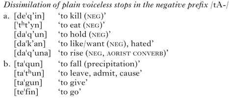 Ejective harmony in Lezgian | Phonology | Cambridge Core