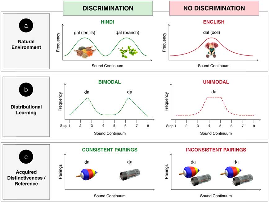 referential function of language examples