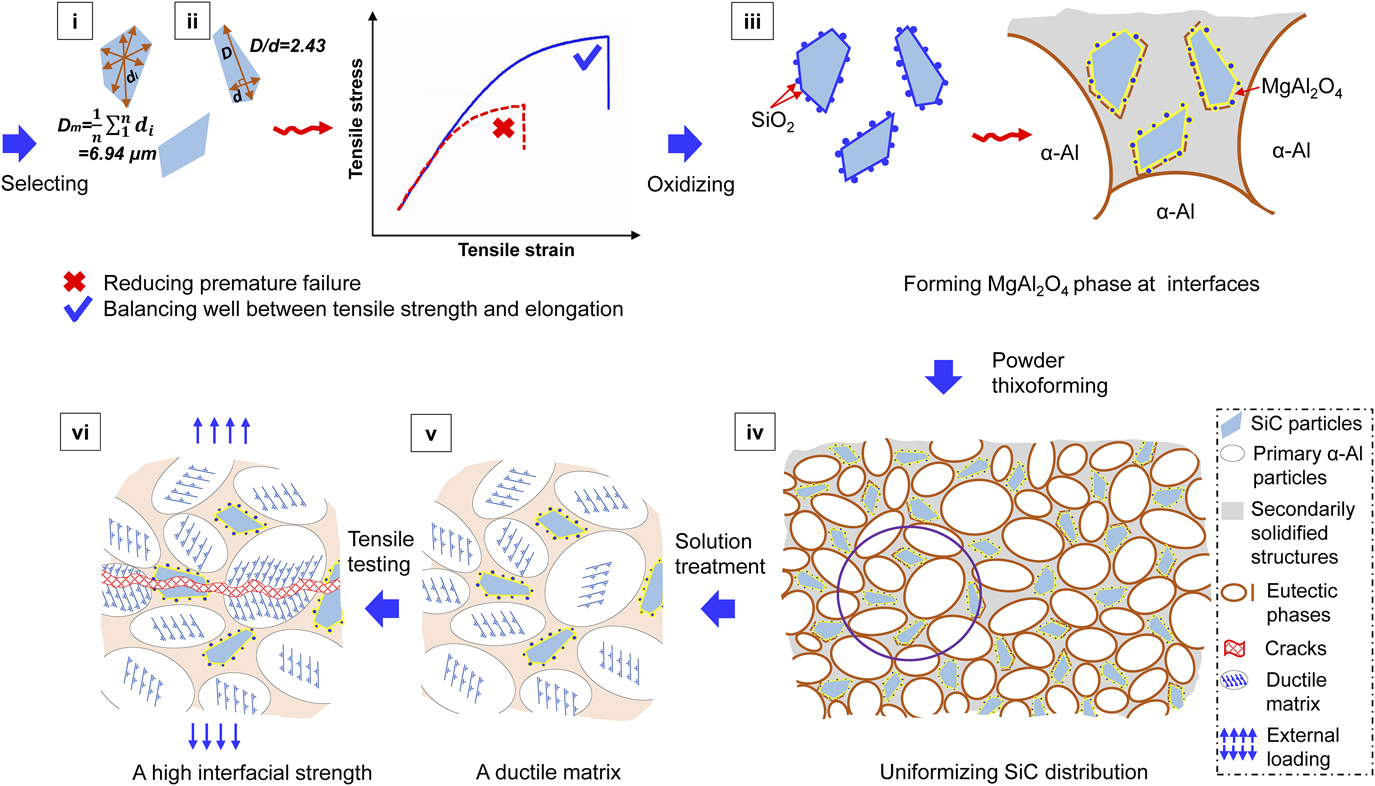 Toughening mechanisms of solution-treated SiCp/6061 aluminum matrix ...