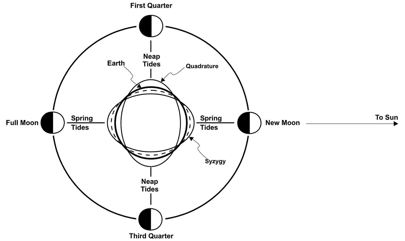 Spring Tide Diagram Black And White