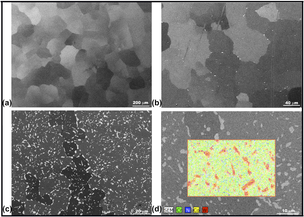 Enhanced strength and ductility of a tungsten-doped CoCrNi medium ...