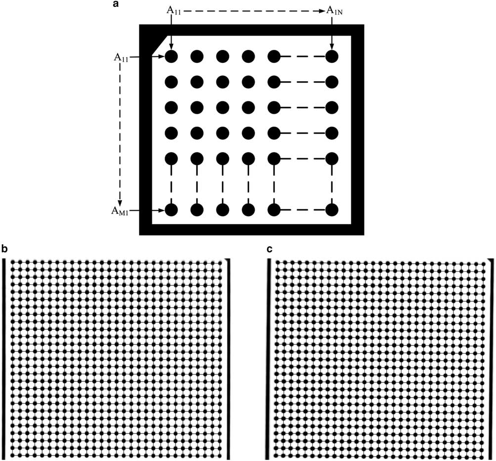 Disparity Surface Reconstruction Based on a Stereo Light Microscope and ...