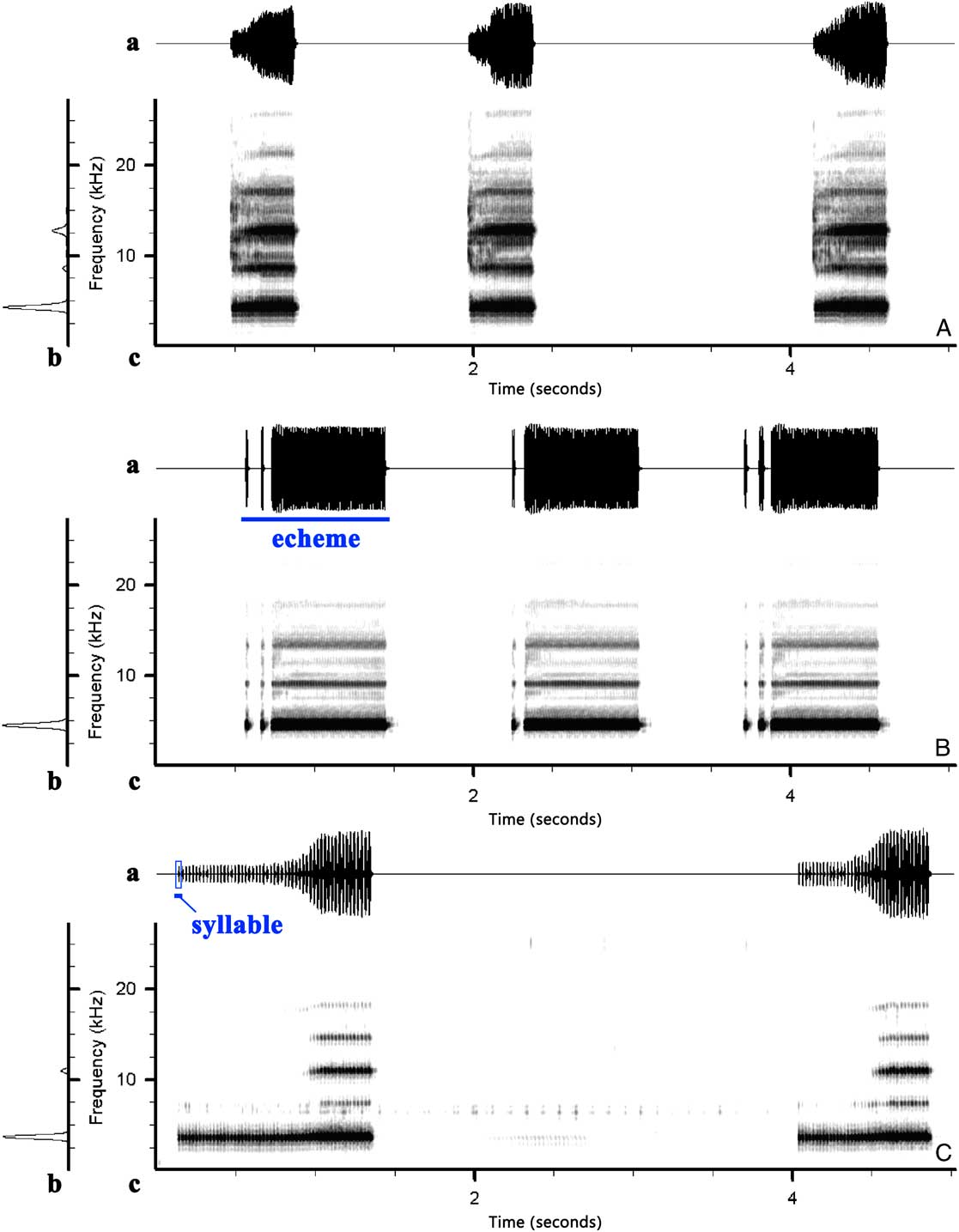 Revision of the Phaloriini crickets (Orthoptera: Phalangopsidae ...