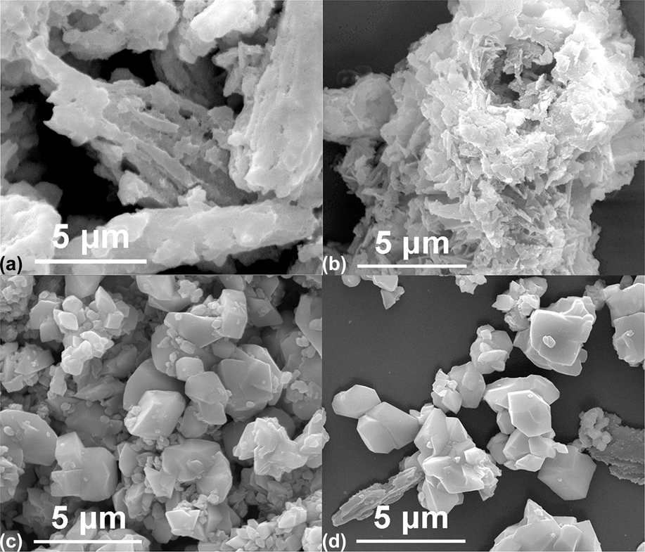 Mechanism of heterogeneous activation of persulfate with FeOCl under ...