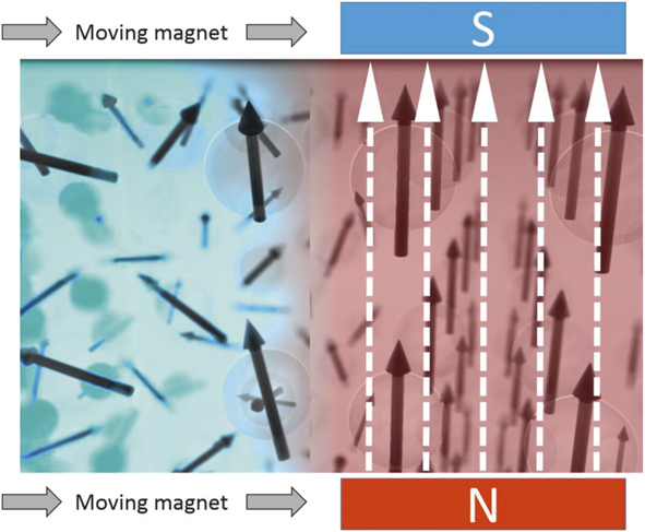 Magnetocaloric materials for refrigeration near room temperature | MRS ...