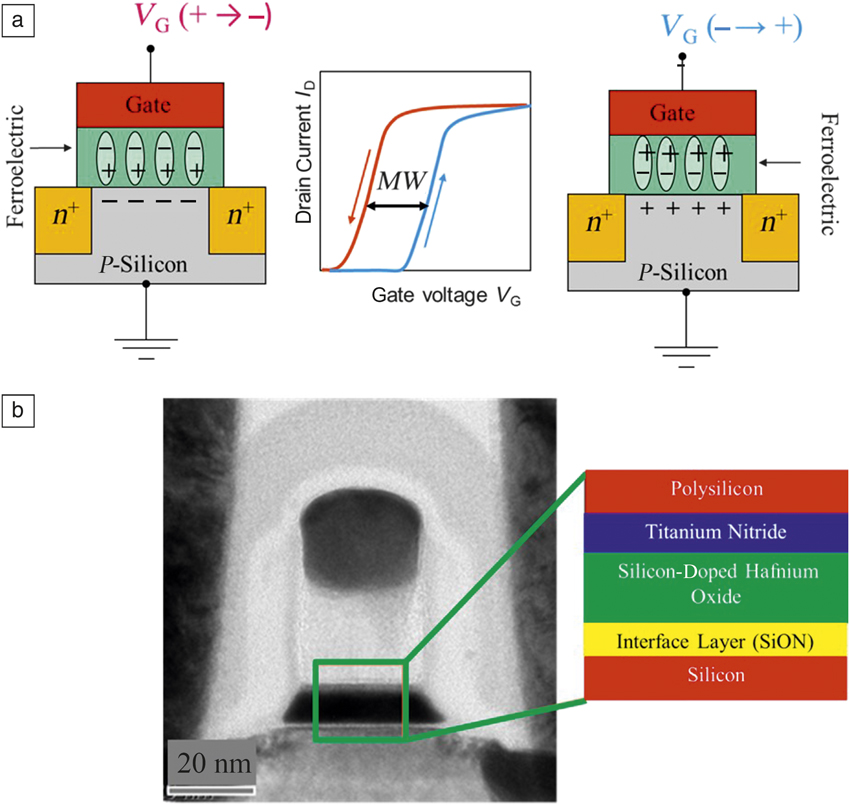 Ferroelectric hafnium oxide for ferroelectric random-access memories ...