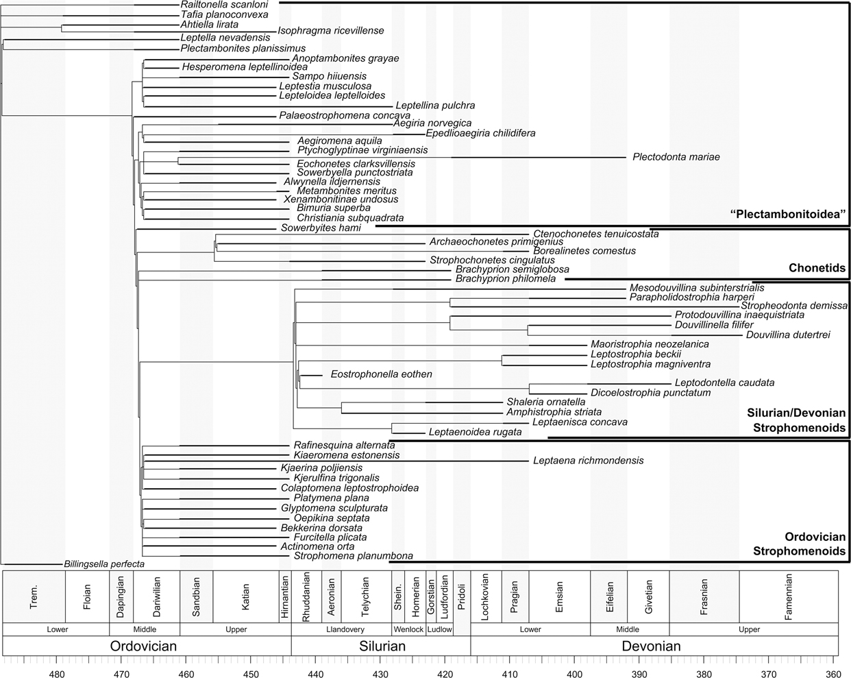 Effects of mass extinction and recovery dynamics on long-term ...