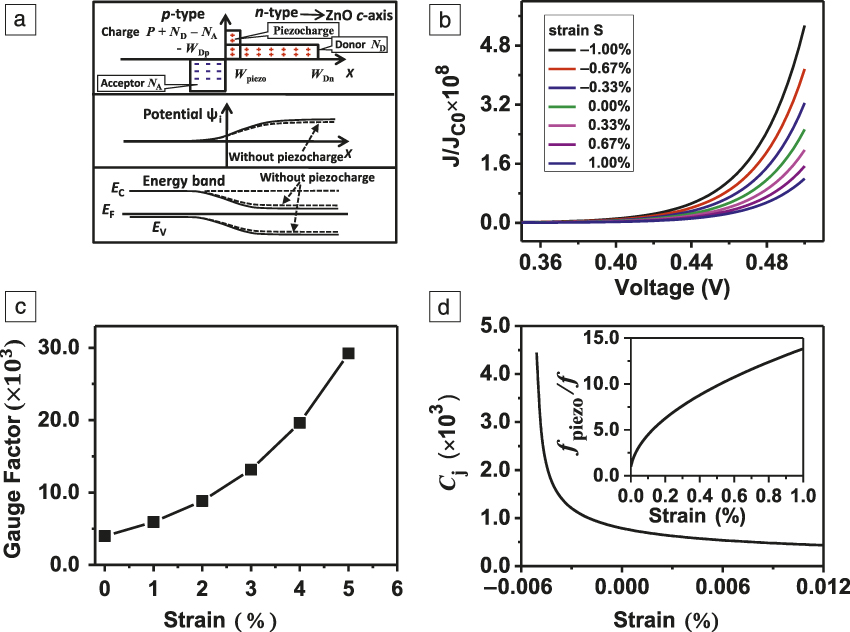 Theory of piezotronics and piezo-phototronics | MRS Bulletin ...