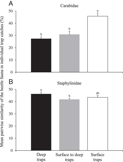 Effect of pitfall trap depth on epigaeic beetle sampling (Coleoptera ...