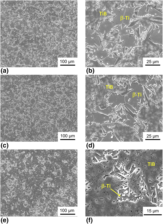 Material design and processing of a new class of titanium boride ...