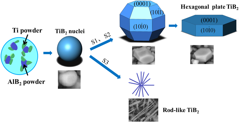 Microstructure evolution and properties of in situ synthesized TiB2-reinforced aluminum alloy by ...