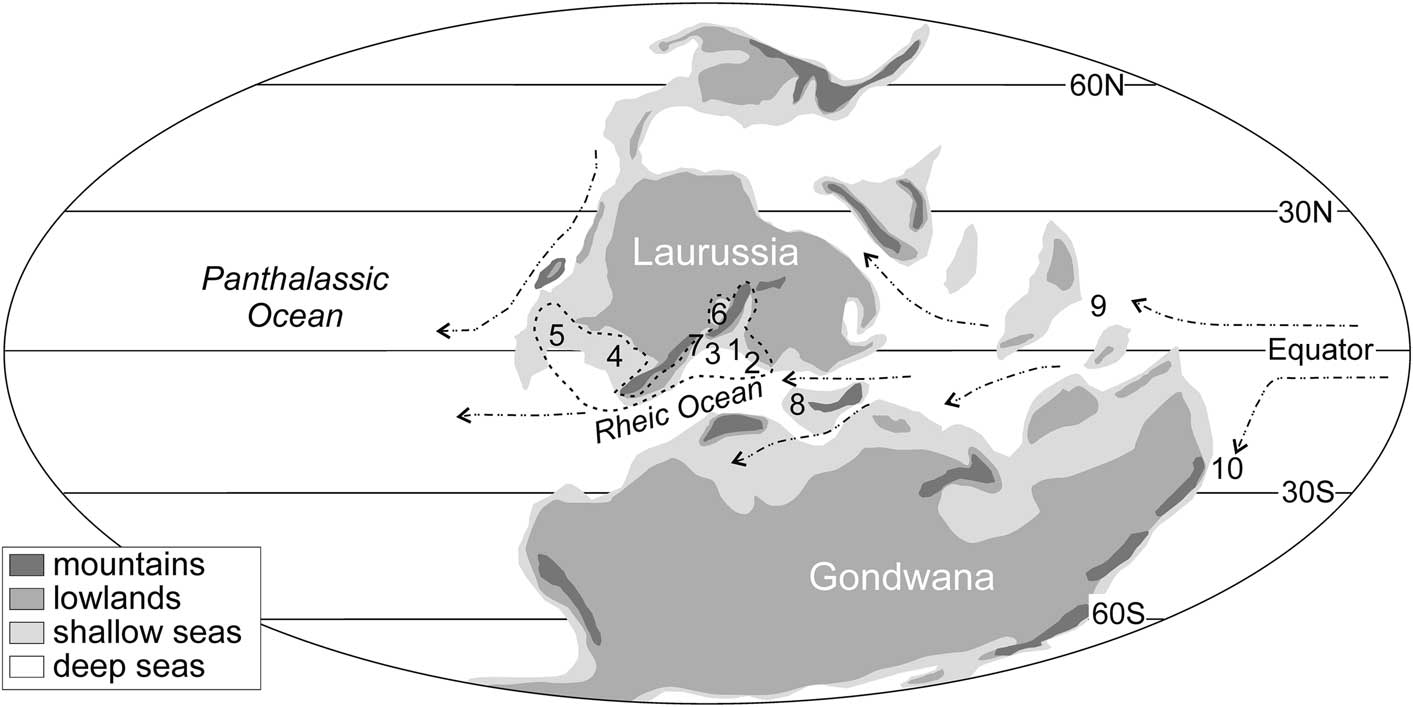 The apparatus of the Carboniferous conodont Vogelgnathus simplicatus ...