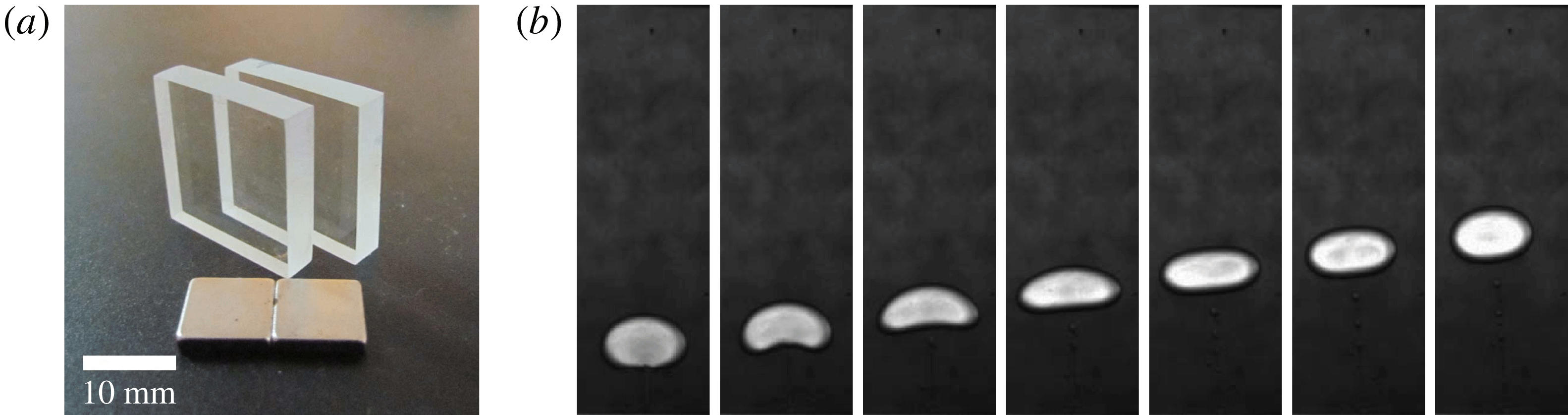 Levitation of non-magnetizable droplet inside ferrofluid | Journal of ...