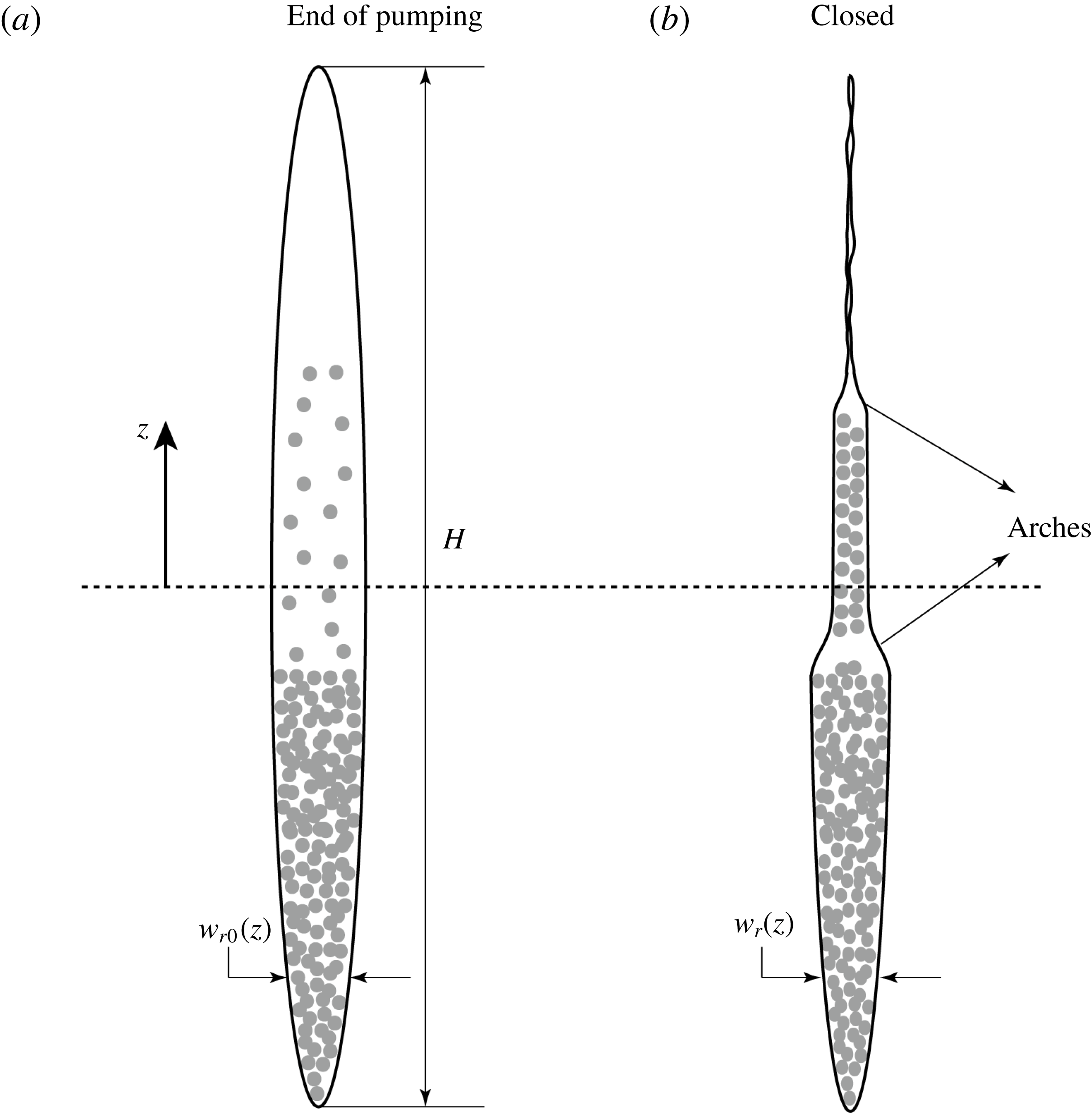 Propagation, proppant transport and the evolution of transport ...