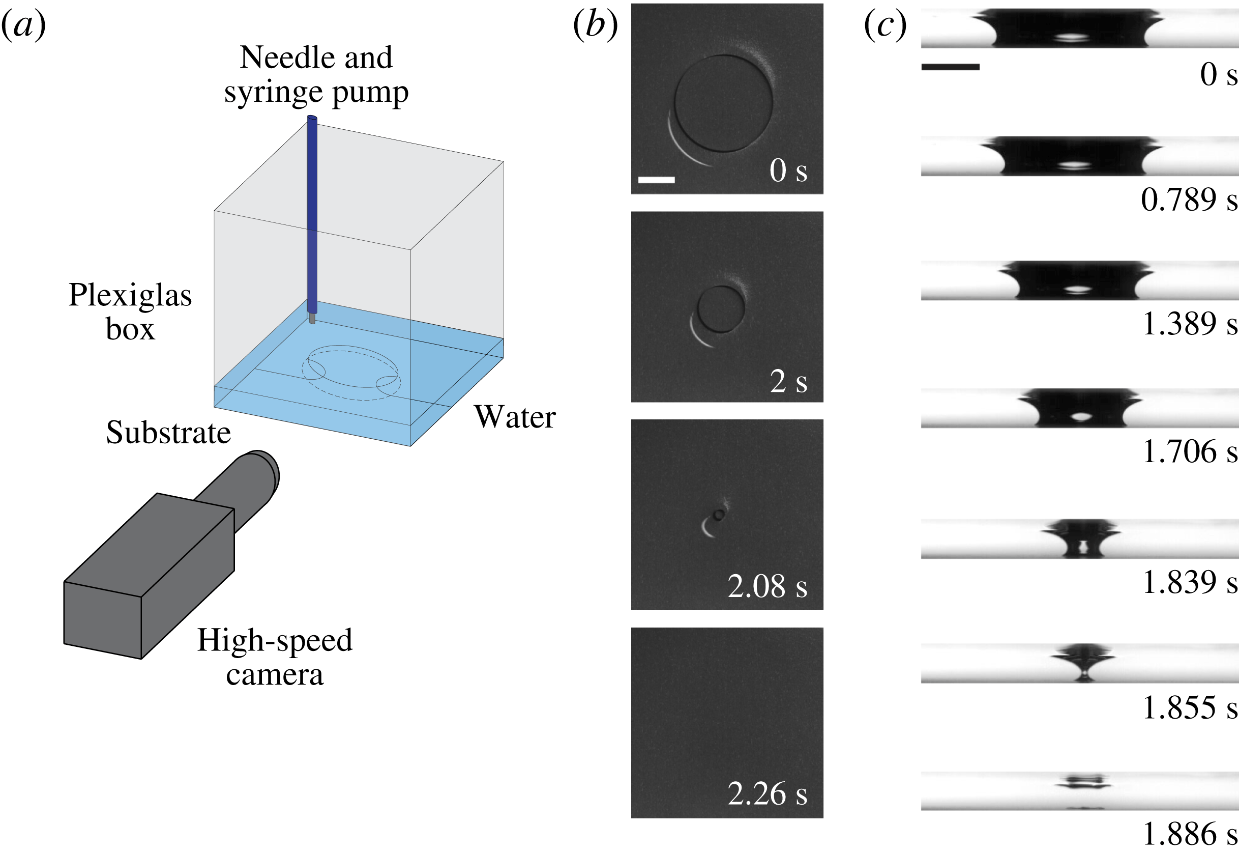 Stability and collapse of holes in liquid layers | Journal of Fluid ...