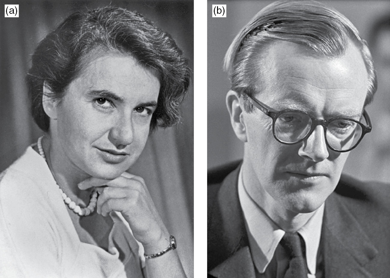 Lenny Moss's Instagram, Twitter & Facebook on IDCrawl