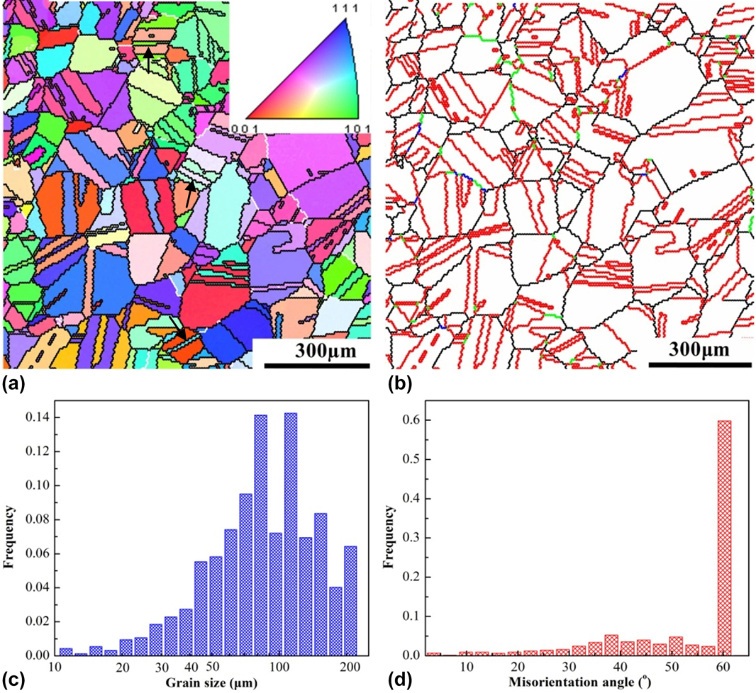 EBSD study of strain dependent microstructure evolution during hot ...
