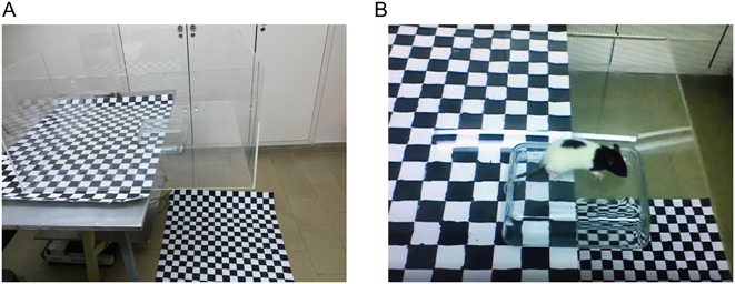 Evaluation of visual function in Royal College of Surgeon rats using a ...