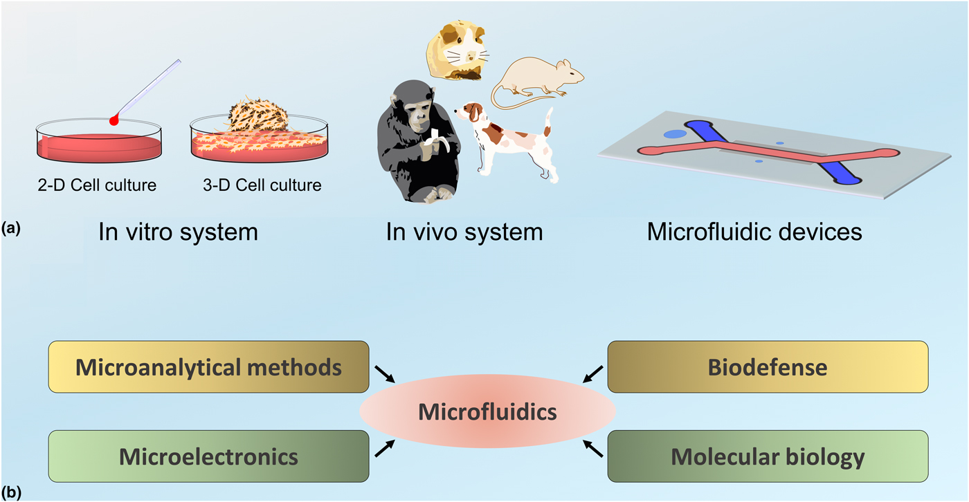 Multi-organ on a chip for personalized precision medicine | MRS ...