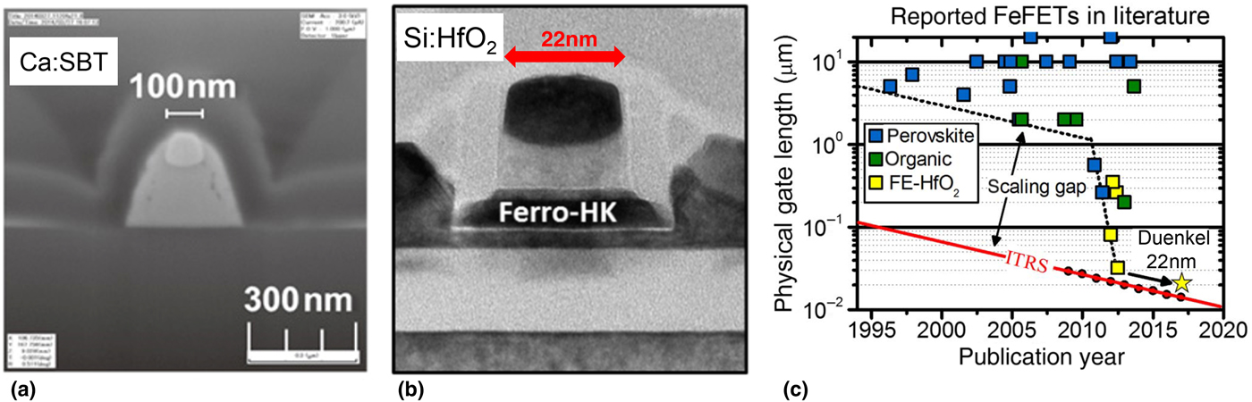 Review and perspective on ferroelectric HfO2-based thin films for ...
