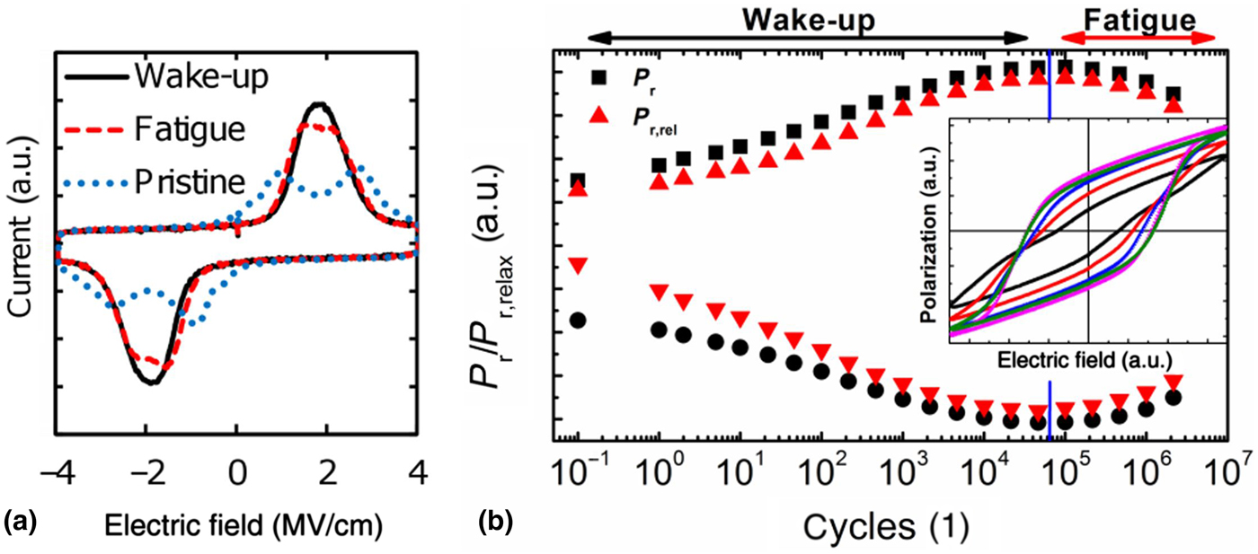 Review and perspective on ferroelectric HfO2-based thin films for ...