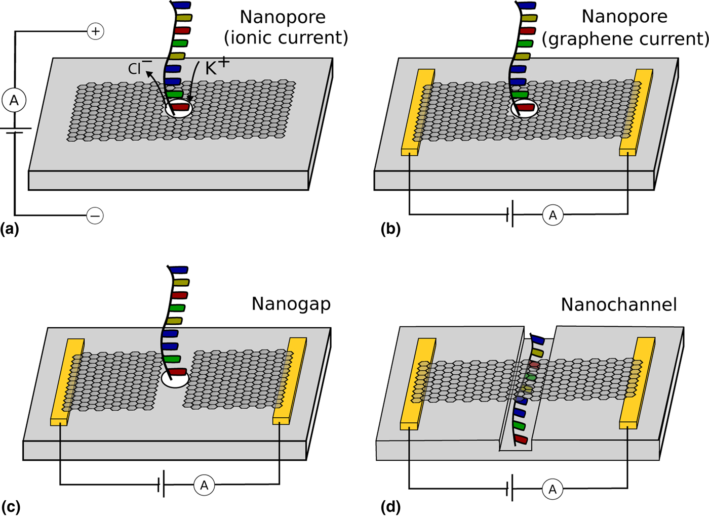 Challenges in fabricating graphene nanodevices for electronic DNA sequencing | MRS ...