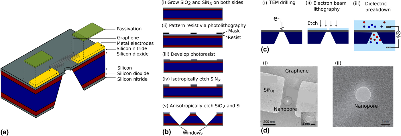 Challenges in fabricating graphene nanodevices for electronic DNA ...