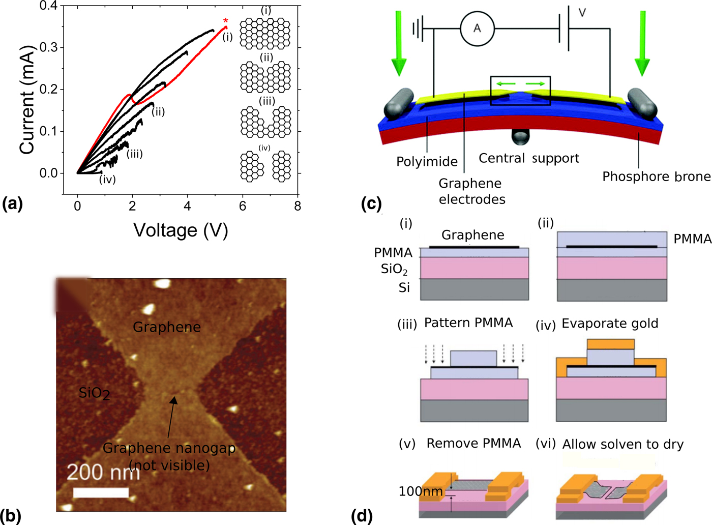 Challenges in fabricating graphene nanodevices for electronic DNA ...