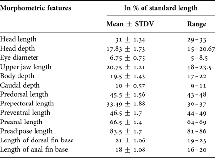 Systematics and biology of the blue lanternfish, Diaphus coeruleus from ...