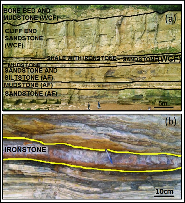 Sideritic ironstones as indicators of depositional environments in the ...