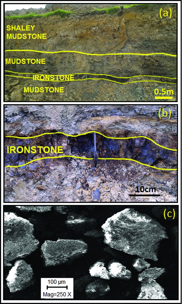 Sideritic ironstones as indicators of depositional environments in the ...