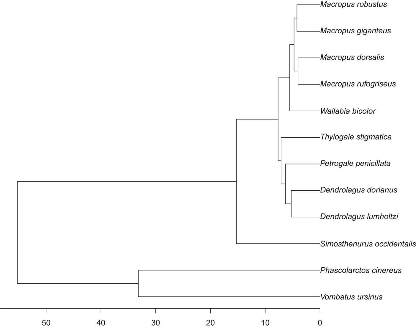 Biting mechanics determines craniofacial morphology among extant ...