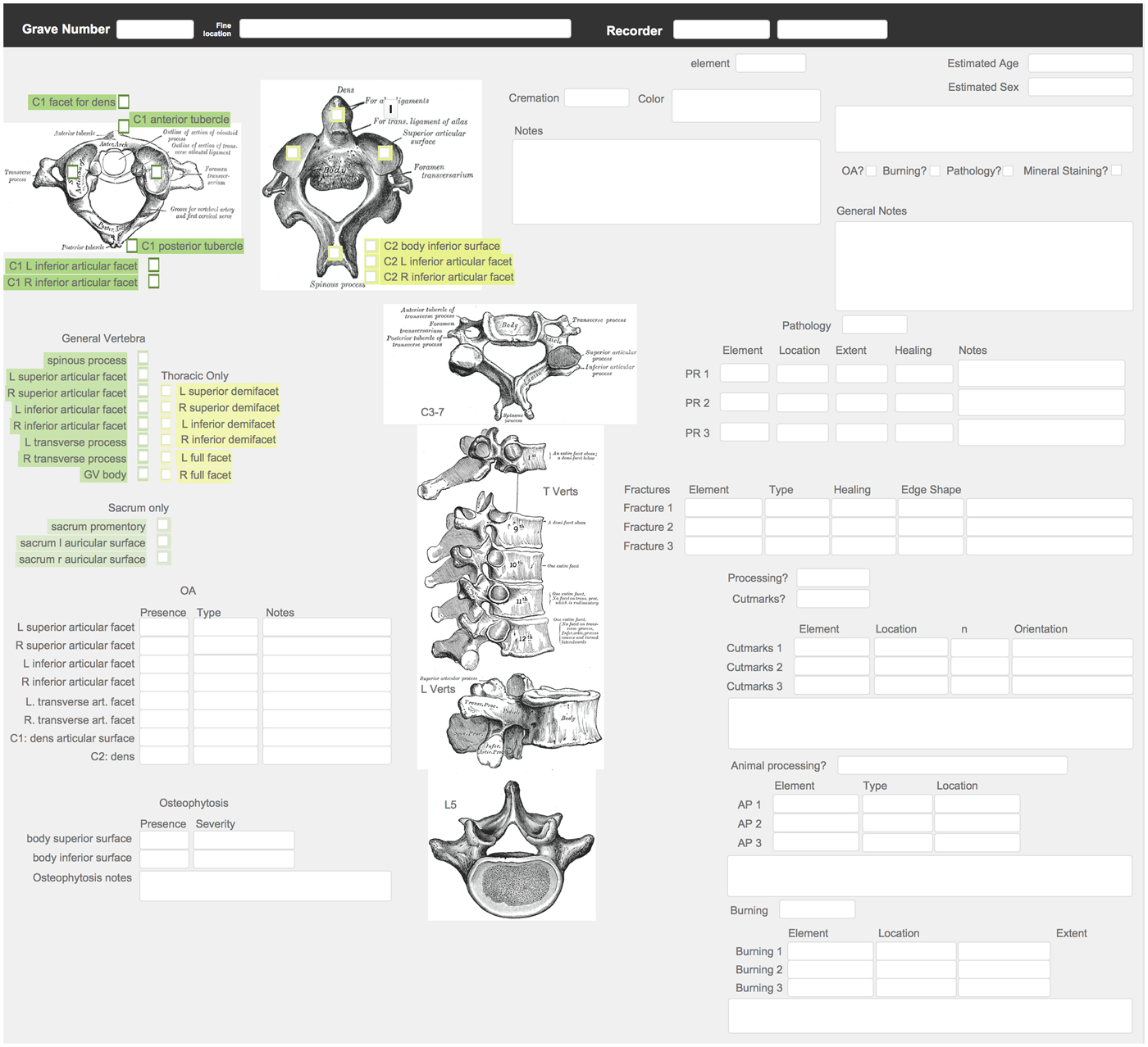 Advances in Documentation of Commingled and Fragmentary Remains ...