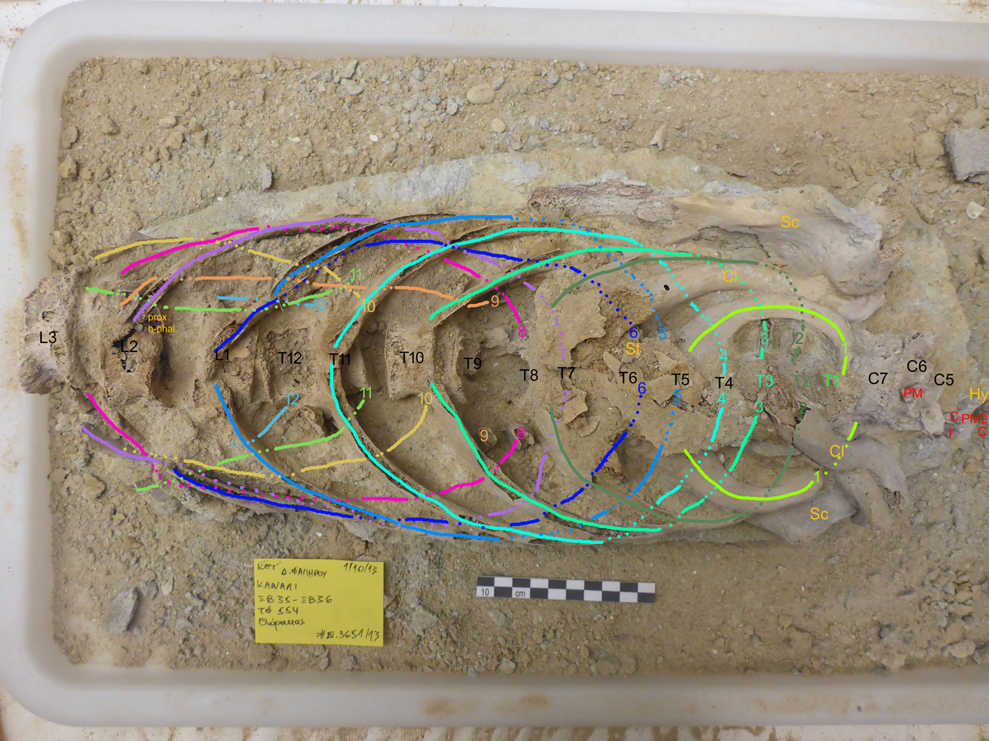 Bioarchaeological Practice and the Curation of Human Skeletal Remains ...