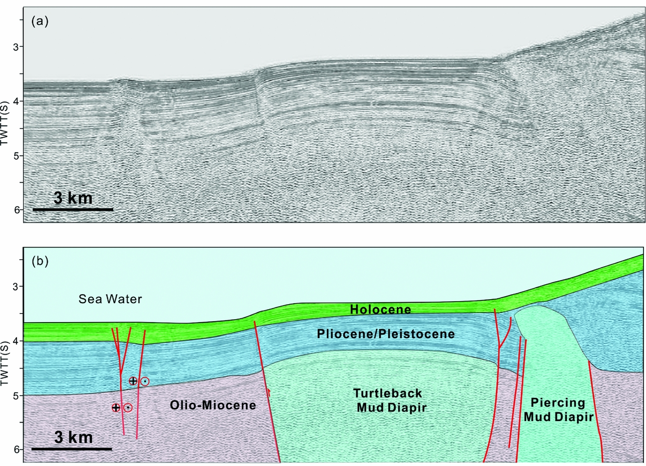 Structural features and formation conditions of mud diapirs in the ...