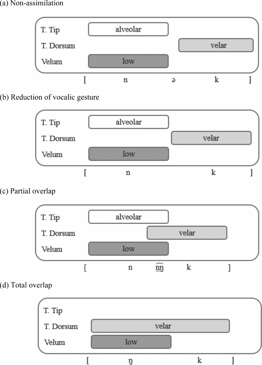 Gradient assimilation in French cross-word /n/+velar stop sequences ...