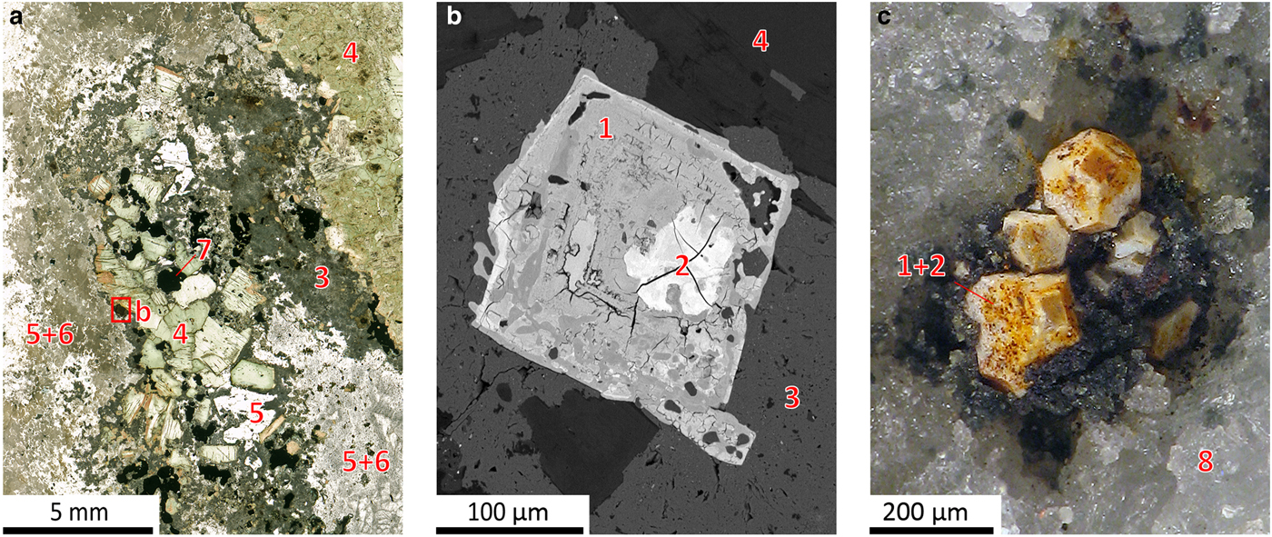 Hydroxynatropyrochlore, (Na,Сa,Ce)2Nb2O6(OH), a new member of the ...