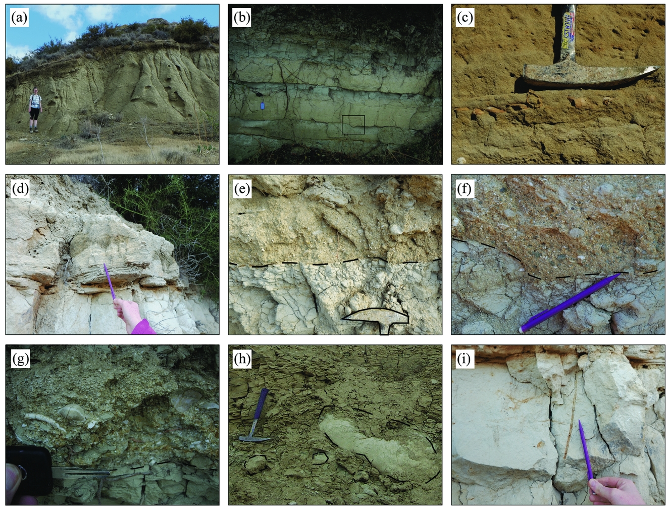 Pliocene–Pleistocene sedimentary development of the syntectonic Polis ...