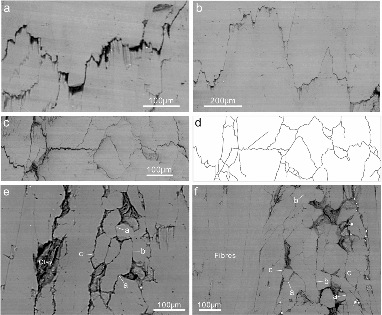 Role of pressure solution in the formation of bedding-parallel calcite ...
