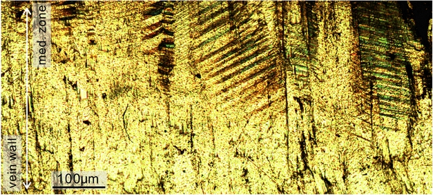 Role of pressure solution in the formation of bedding-parallel calcite ...