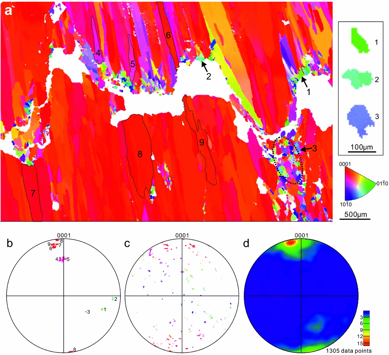 Role of pressure solution in the formation of bedding-parallel calcite ...