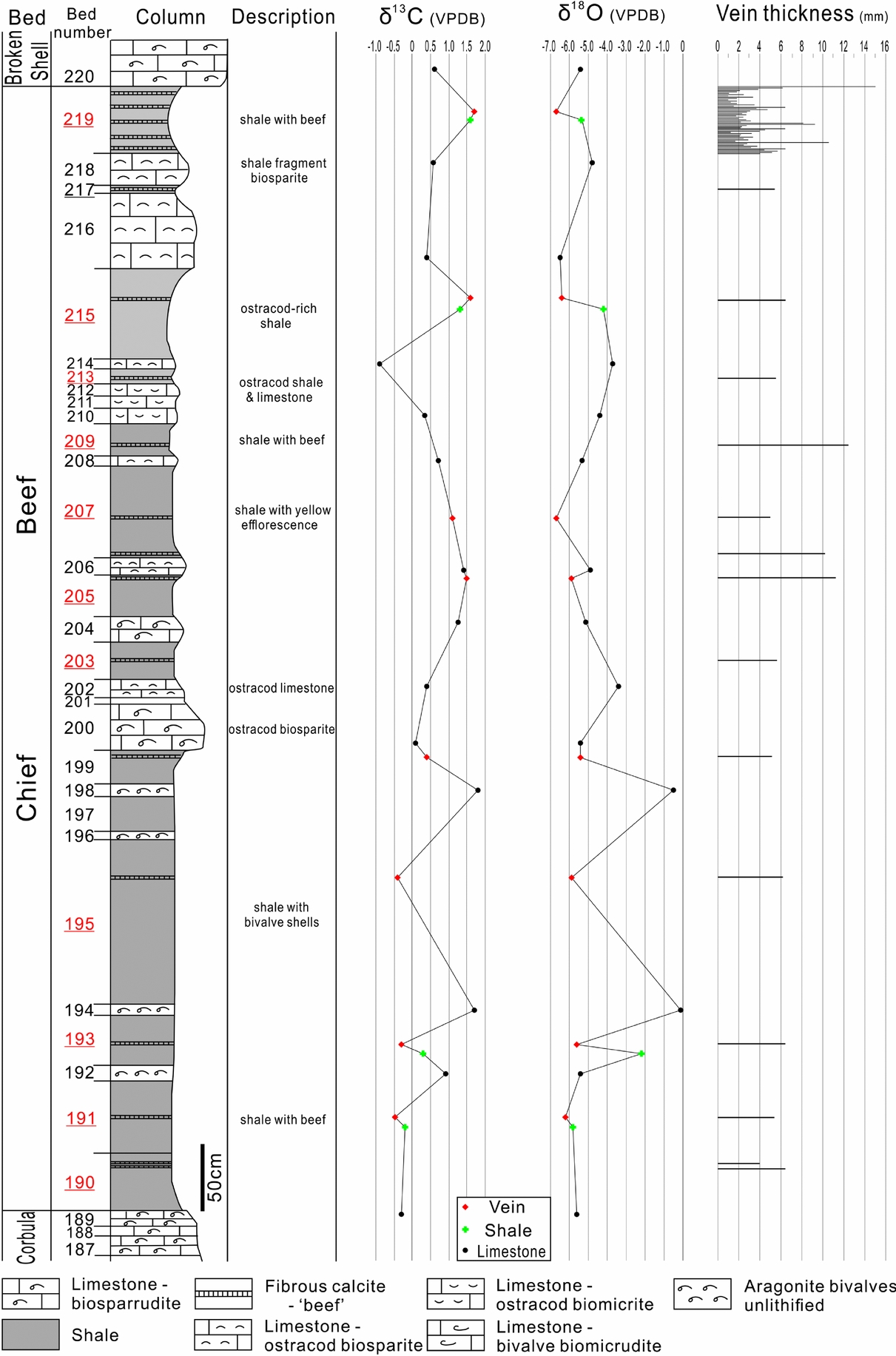 Role of pressure solution in the formation of bedding-parallel calcite ...