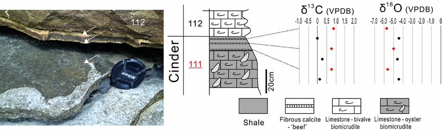 Role of pressure solution in the formation of bedding-parallel calcite ...