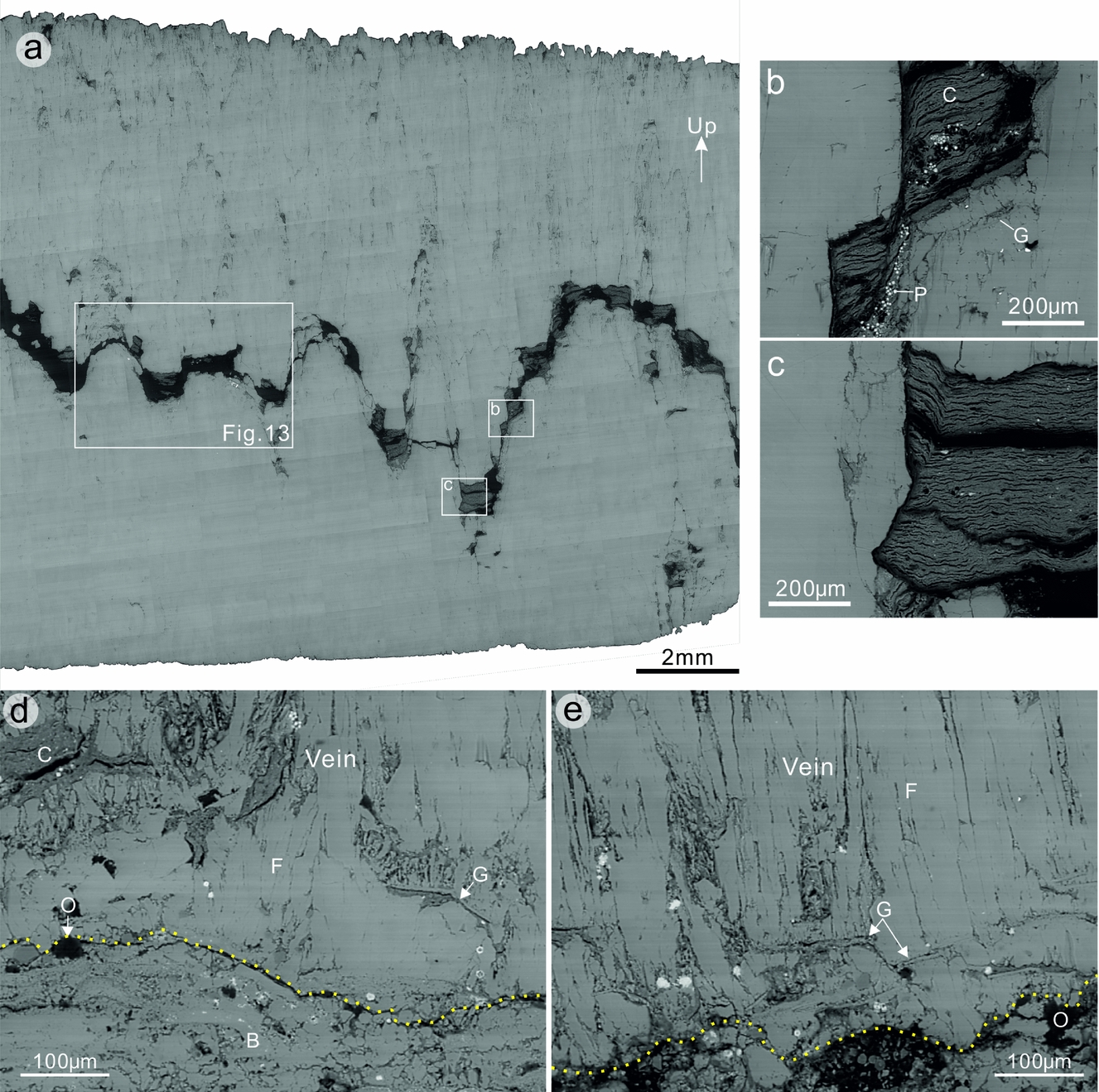 Role of pressure solution in the formation of bedding-parallel calcite ...